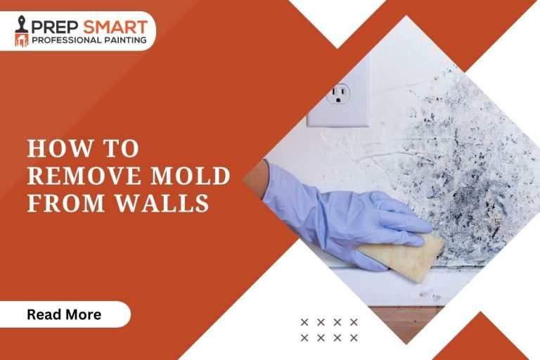 How to Remove Mold from Walls - Prep Smart Painting